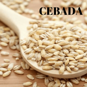 Tipos y propiedades de los cereales CON gluten - Sanamente.net